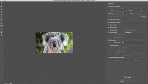 Morphing in Photoshop | Morphing Two Faces in Adobe Photoshop