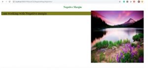 Negative Margin CSS | Learn How does Negative Margin work in CSS?