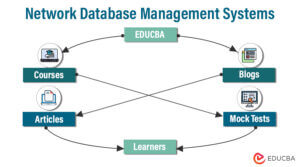Different Types of DBMS (Database Management Systems)