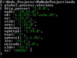 Node.js Process 