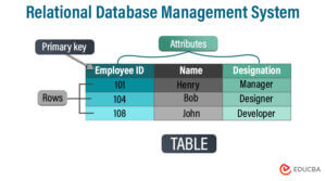 Different Types of DBMS (Database Management Systems)