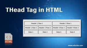 THead Tag in HTML | Learn How to Use Element in HTML?