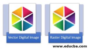 What is Digital Image? | Learn Forms of Digital Image And How it Works?