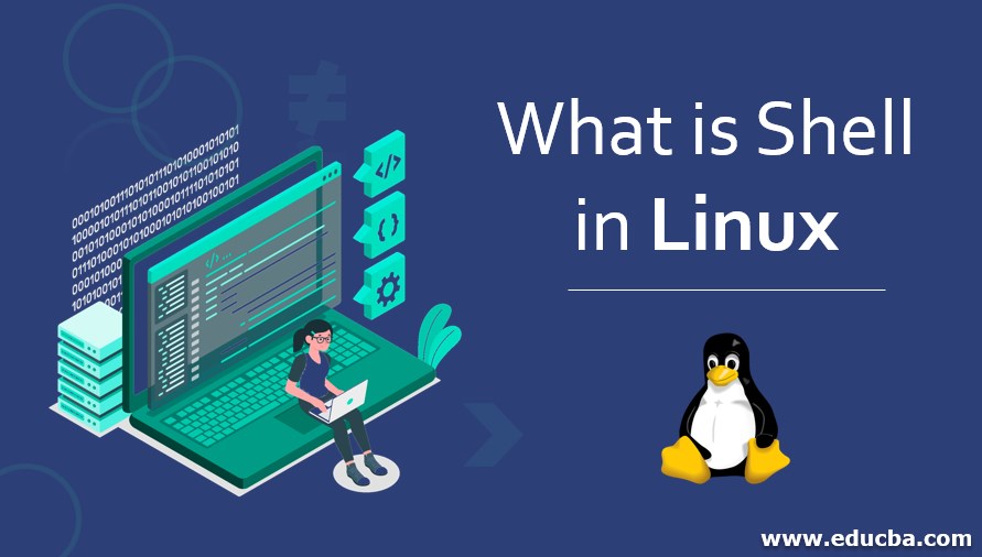 What Is Shell In Linux Types Of Shell With Commands And Examples