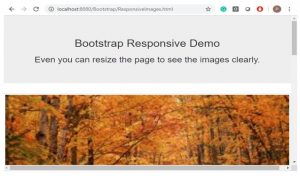 Bootstrap Responsive | How can we get responsive website in bootstrap?