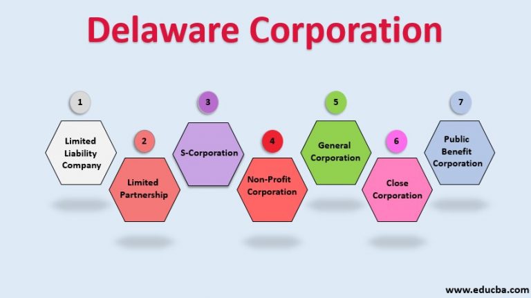 Delaware Corporation | Types of Delaware Corporation with Structure