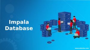 Impala Database | Selecting Impala Database from Multiple Databases