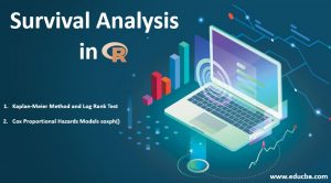 Survival Analysis in R | Learn Types of Survival Analysis in R Programming