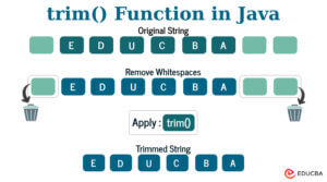 trim() Function in Java | How does the trim() Method work?