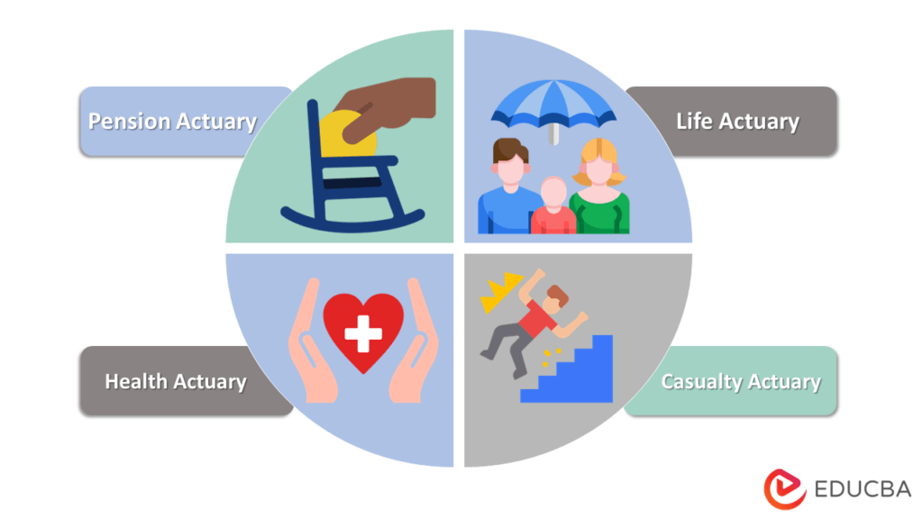 Actuaries Career | Responsibilities, Educational Requirements, and Salary