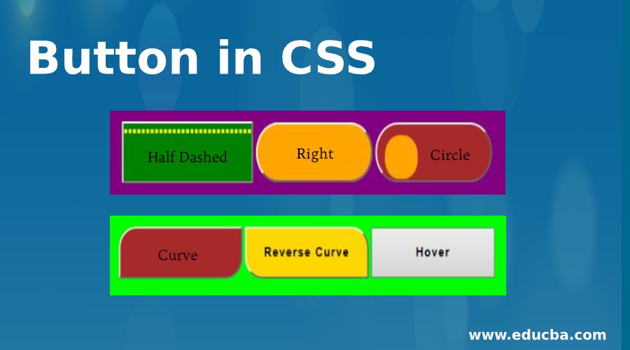 Button In CSS Guide To Button In CSS With Some Property Declarations