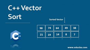 C++ Vector Sort | How Does Vector Sorting Work in C++ Programming