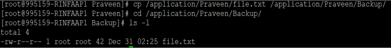 Copy Command In Linux Learn The Examples Of Copy Command In Linux