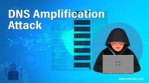 DNS Amplification Attack | How DNS Amplification Attack can be Mitigated?