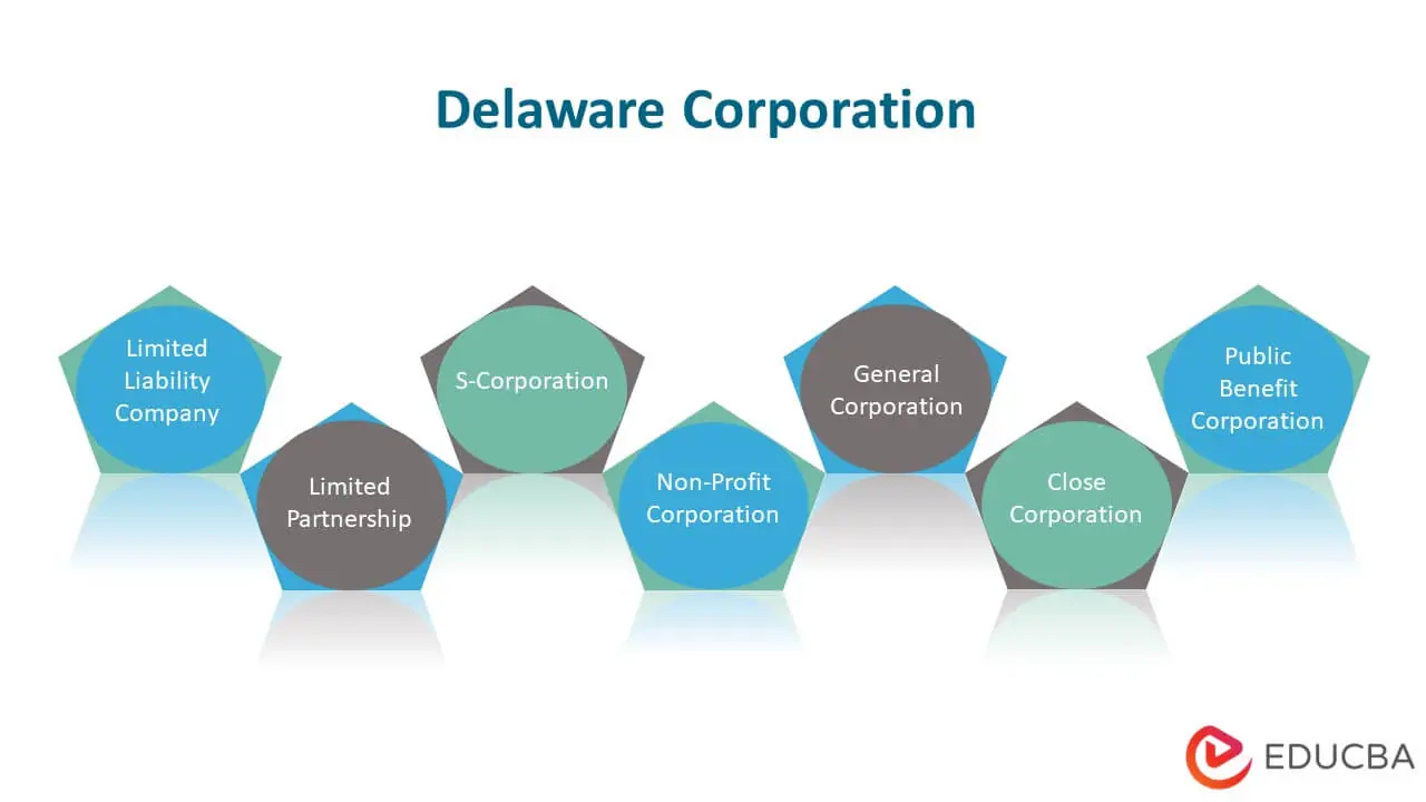 Delaware Corporation | Types and Structure of Delaware Corporation