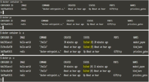 Docker Containers | Learn How does Docker Container Work?