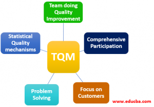 Full Form of TQM | Features,Benefits and Principal of TQM