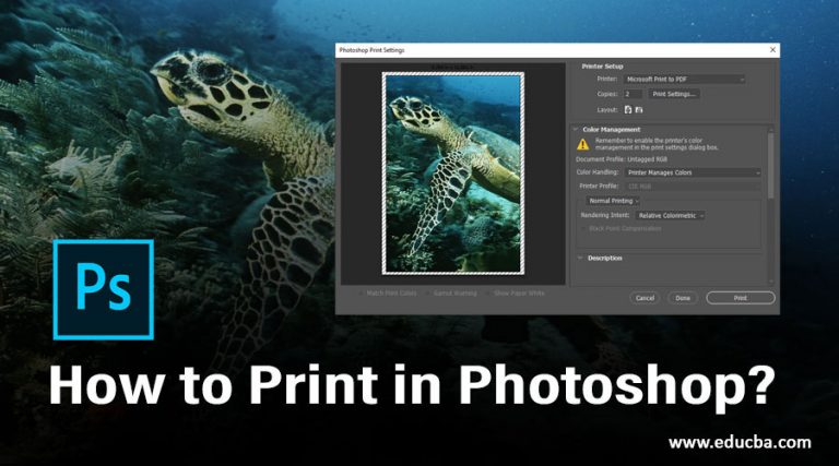 How to Print in Photoshop? | Preparing Photos for Print in Photoshop