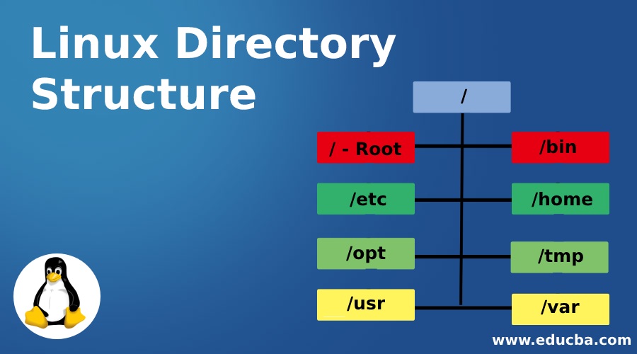 Linux Directory Structure LaptrinhX