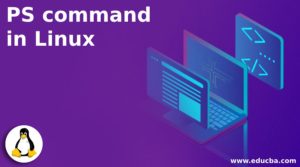 PS command in Linux | Options Available for PS command with Examples