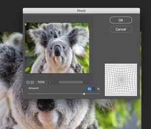 Photoshop Distort Effect | Recreating Image with Distort Effect