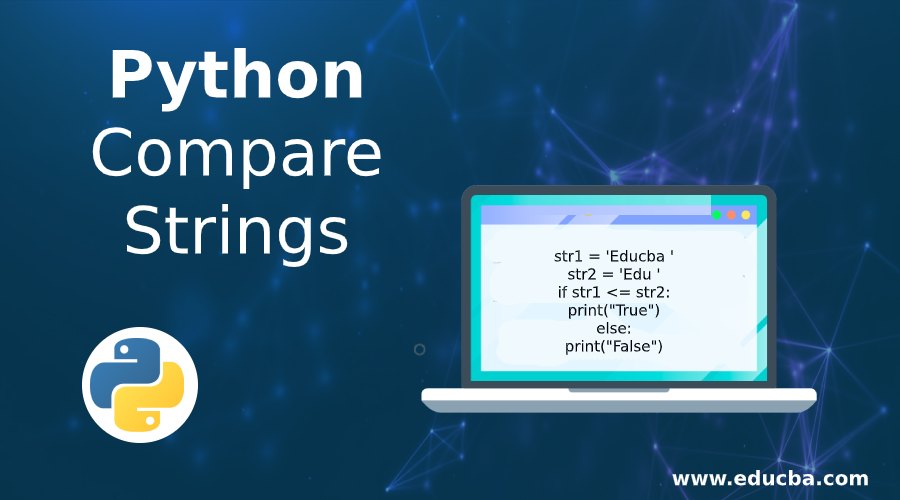 Python Python 