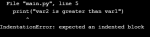 Python if then else | How Does Python if then else Work?