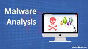 Malware Analysis | 4 Vital Stages of Malware Analysis You Should Know