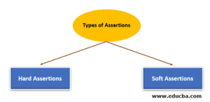 Assertions in Selenium | Types & Methods of Assertions in Selenium