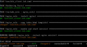Ansible Roles | Guide to Ansible Functions & Importants with Examples