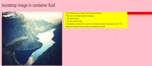 Bootstrap Container Fluid | Complete Guide to Bootstrap Container Fluid