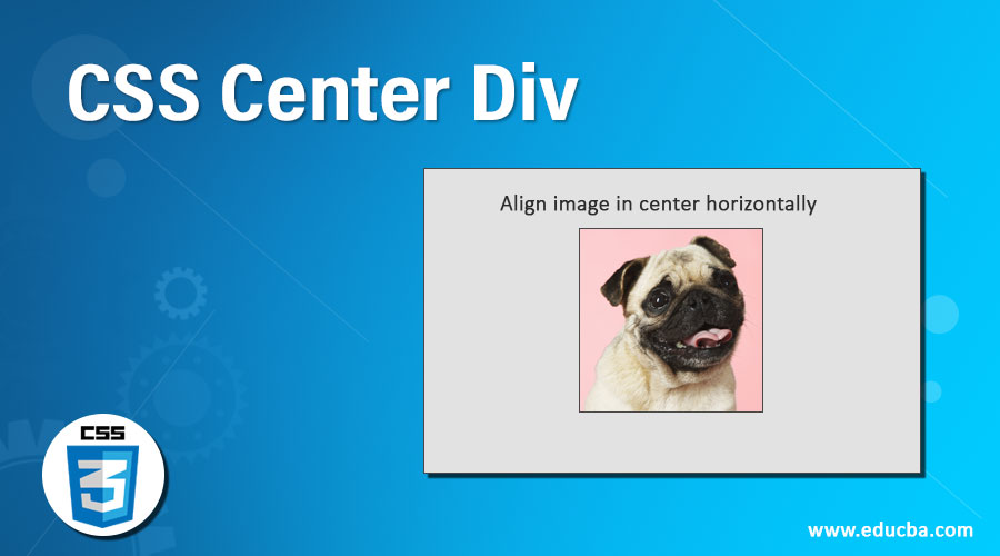 CSS Center Div How To Use Center Div Tag With Examples 