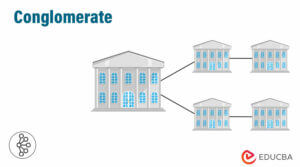 Conglomerate | Reasons for Creating Financial Conglomerate