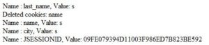 Cookies in JSP | How to Handle Cookies in JSP with some Examples