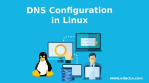 DNS Configuration in Linux | Learn the Basics of DNS and How it Works?