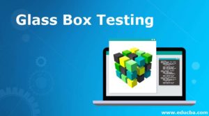 Glass Box Testing | Advanced Techniques of Glass Box Testing