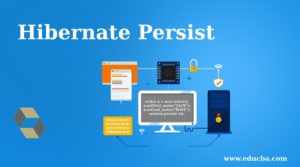 Hibernate Persist | How Persist in Hibernate Works?