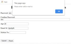 JavaScript Validator | JavaScript Validations on Client-Side