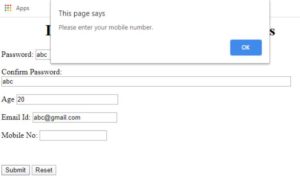 JavaScript Validator | JavaScript Validations on Client-Side