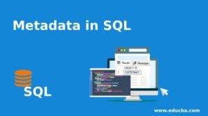 Metadata in SQL | Examples on How does Metadata Works in SQL