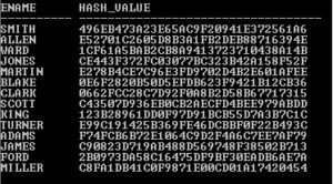 Oracle MD5 | A Quick Glance of Oracle MD5 with Sample Code