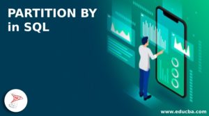 PARTITION BY in SQL | How to Implement PARTITION BY in SQL?
