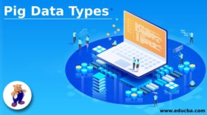 Pig Data Types | Complete Guide to Pig Data Types with Examples