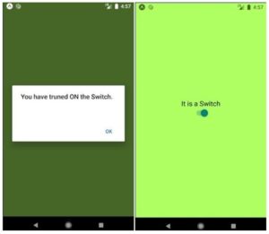 React-Native Switch | How Switch Component works in React-Native?