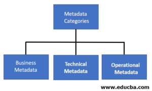 Metadata in C# | How does Metadata works in C# with Examples