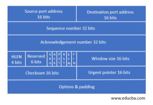 Transport Layer Protocols | Complete Guide to Transport Layer Protocols