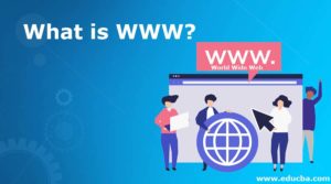 What is WWW? | History | How World Wide Web Works?