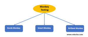 Monkey Testing | Types of Monkey Testing | Advantages & Disadvantages