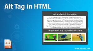 Alt Tag in HTML | Learn How does Alt Tag work in HTML with Examples