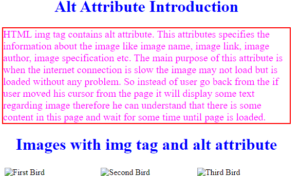 Alt Tag in HTML | Learn How does Alt Tag work in HTML with Examples